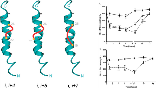 安进减肥管线 AMG 133 进化史 - 知乎