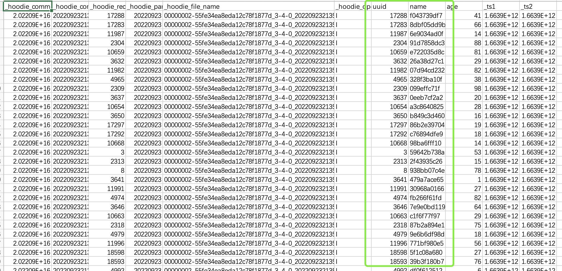 Flink + Hudi 实现多流拼接(大宽表) - 知乎
