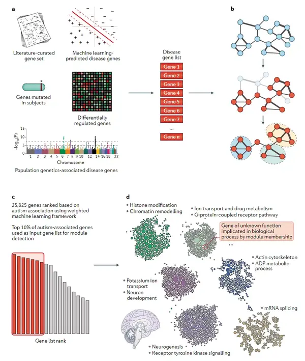 Nat Rev Genet | 解码疾病：从基因组到网络再到表型 - 知乎