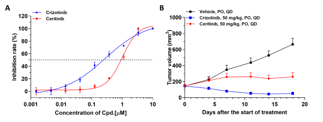 PDX模型在抗肿瘤药物研发中的拓展应用 - 知乎