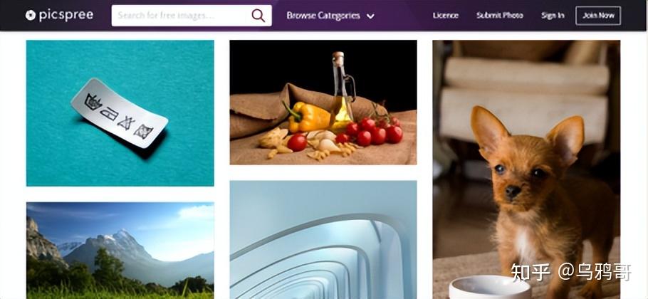 90个免费图库照片和视频网站 - 知乎