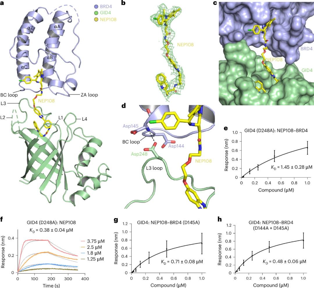 中国科学家Nature子刊：PROTAC“迎来”全新E3连接酶 - 知乎