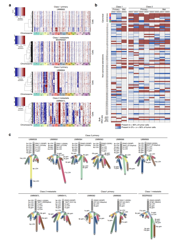 10X单细胞（10X空间转录组）肿瘤数据分析之肿瘤进化树 - 知乎