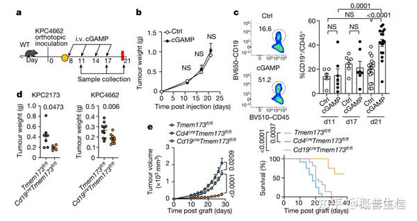 IF60+Nature综述：肿瘤免疫治疗新思路 - 知乎