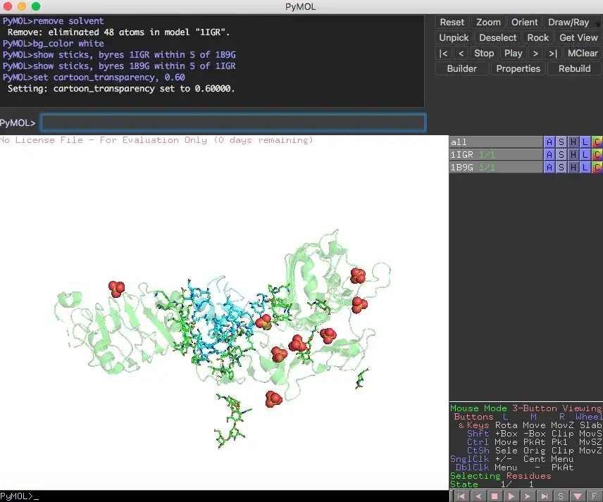 使用 PyMOL 可视化蛋白质-蛋白质对接 - 知乎
