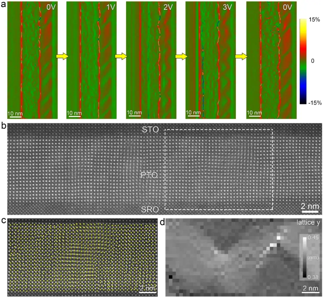 泽攸科技原位TEM实现铁电极化拓扑畴的电场调控 - 知乎