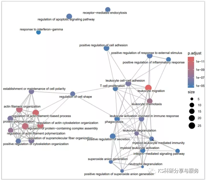 clusterProfiler：基因功能富集分析的惊喜之作 - 知乎