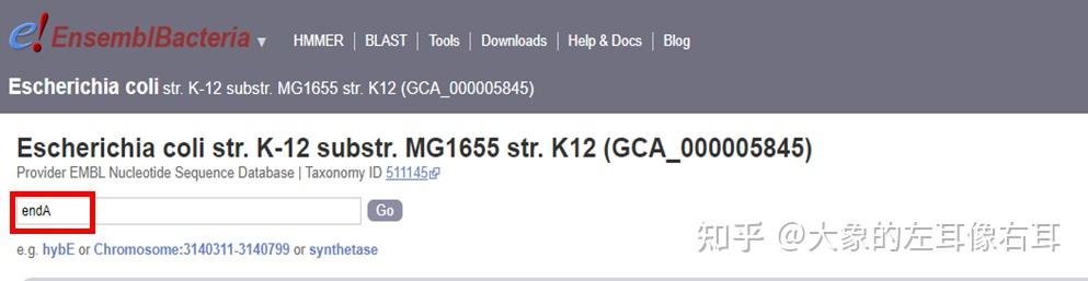 利用pCAS/pTargetF系统对大肠杆菌基因组进行基因编辑(以敲除endA基因为例） - 知乎