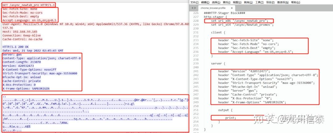 宸极实验室——『红蓝对抗』Malleable-C2-Profile文件分析 - 知乎
