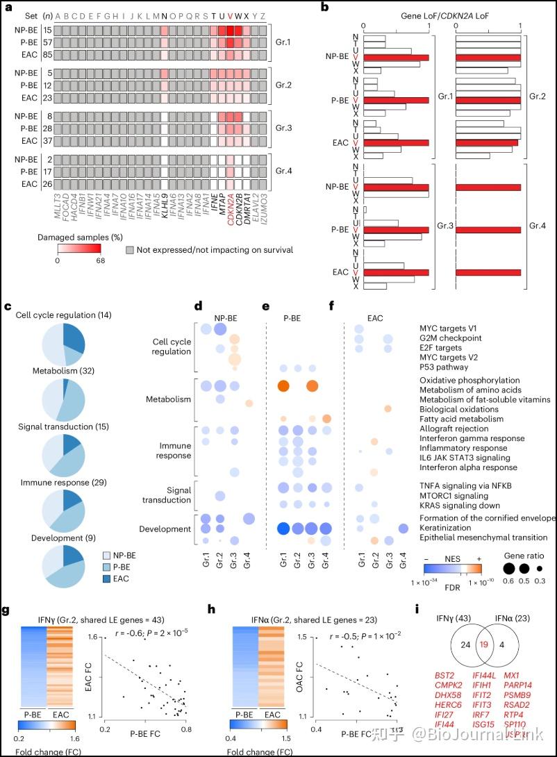 基因组 | Nat.Cancer | 在食管癌进化过程中，CDKN2A及其他9p21基因缺失表现出情境依赖性效应 - 知乎