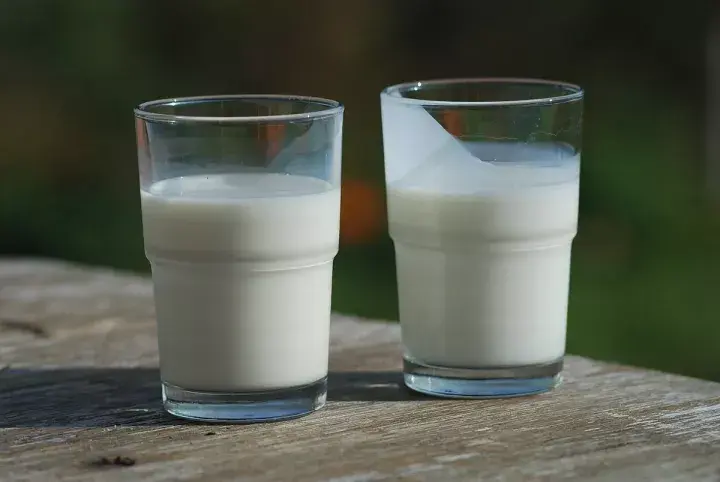 buttermilk是什么东西？ - 知乎