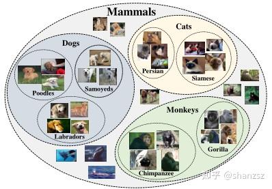 Papers - HCSC: Hierarchical Contrastive Selective Coding - 知乎