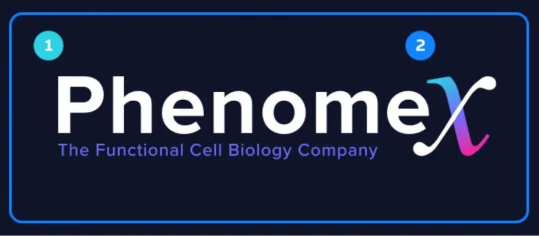 初识PhenomeX——“基因+蛋白+表型”全能型选手的养成之路 - 知乎