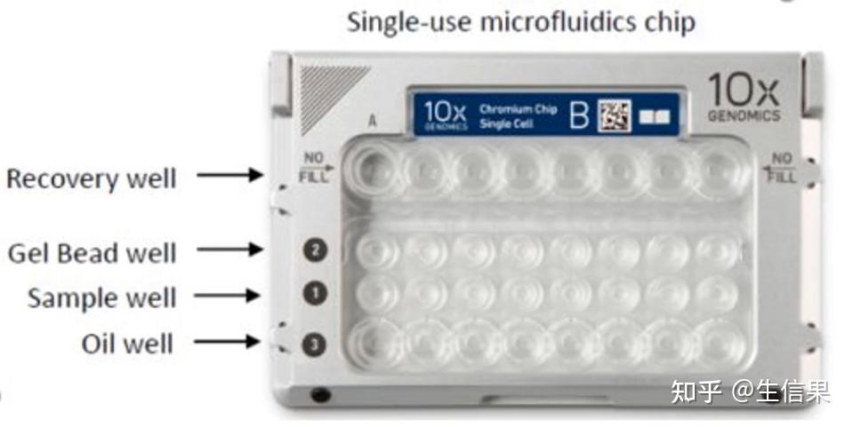 3分钟读懂最受欢迎的单细胞测序平台10×genomics细胞分选，建库及测序 - 知乎