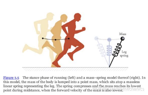 生物力学书籍-《Biomechanics of Movement》-Running - 知乎