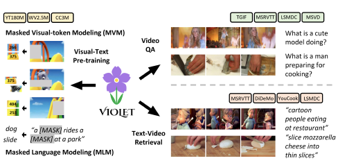 《VIOLET》- UCSB&微软提出VIOLET，用Masked Visual-token Modeling进行端到端的视频语言学习！性能SOTA！ - 知乎