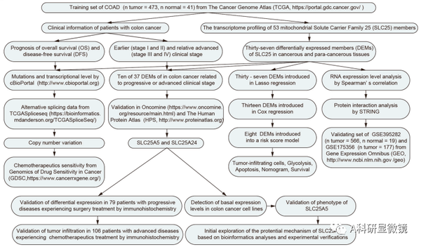 单基因玩腻了？要不试试基因家族？基因家族单肿瘤SCI新玩法！ - 知乎