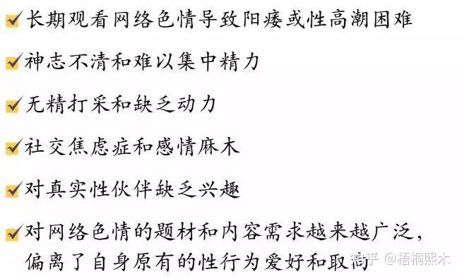 说明文「色情片的危害」20221218 Haoxuan 知乎