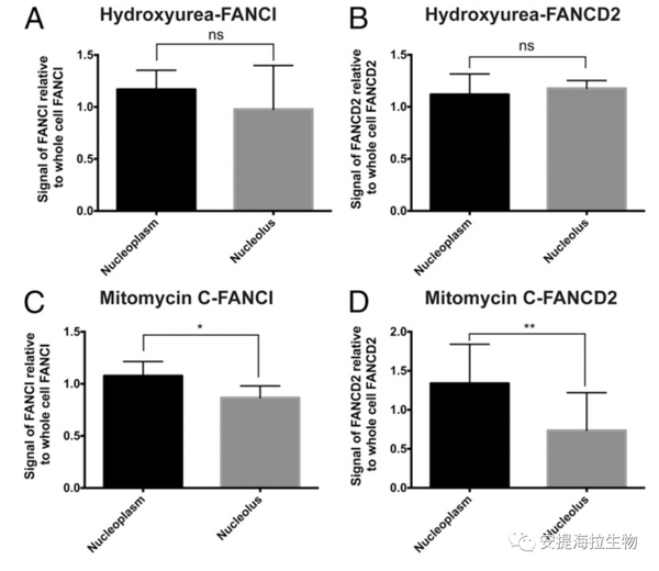FA蛋白FANCI在核糖体的生物合成中发挥作用 - 知乎