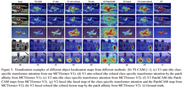 【论文阅读】《multi Class Token Transformer For Weakly Supervised Semantic Segmentation Cvpr2022 》 知乎
