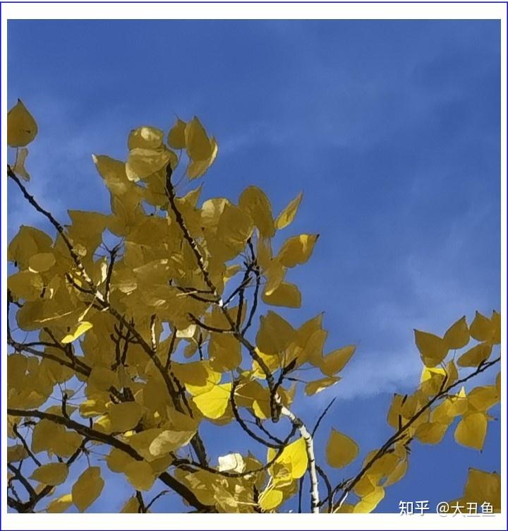 鸿蒙App开发-图片编辑-使用PixelMap完成图像变换 - 知乎