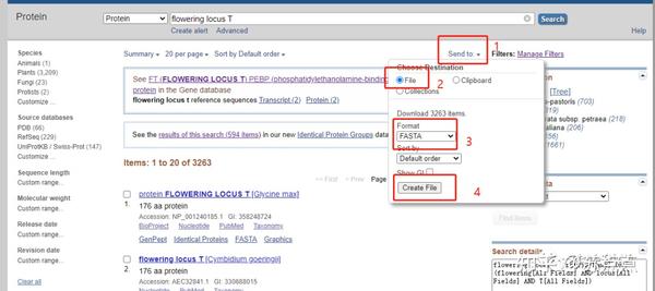 利用 hmmer 构建隐马尔可夫模型并寻找同源基因 - 知乎