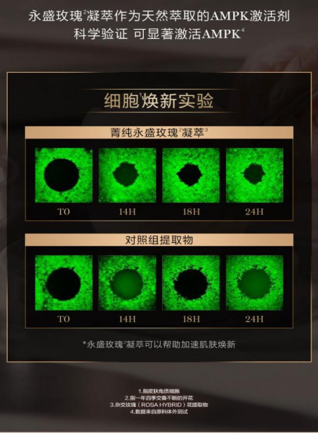 SIRT和AMPK靶点通路知识讲解 - 知乎