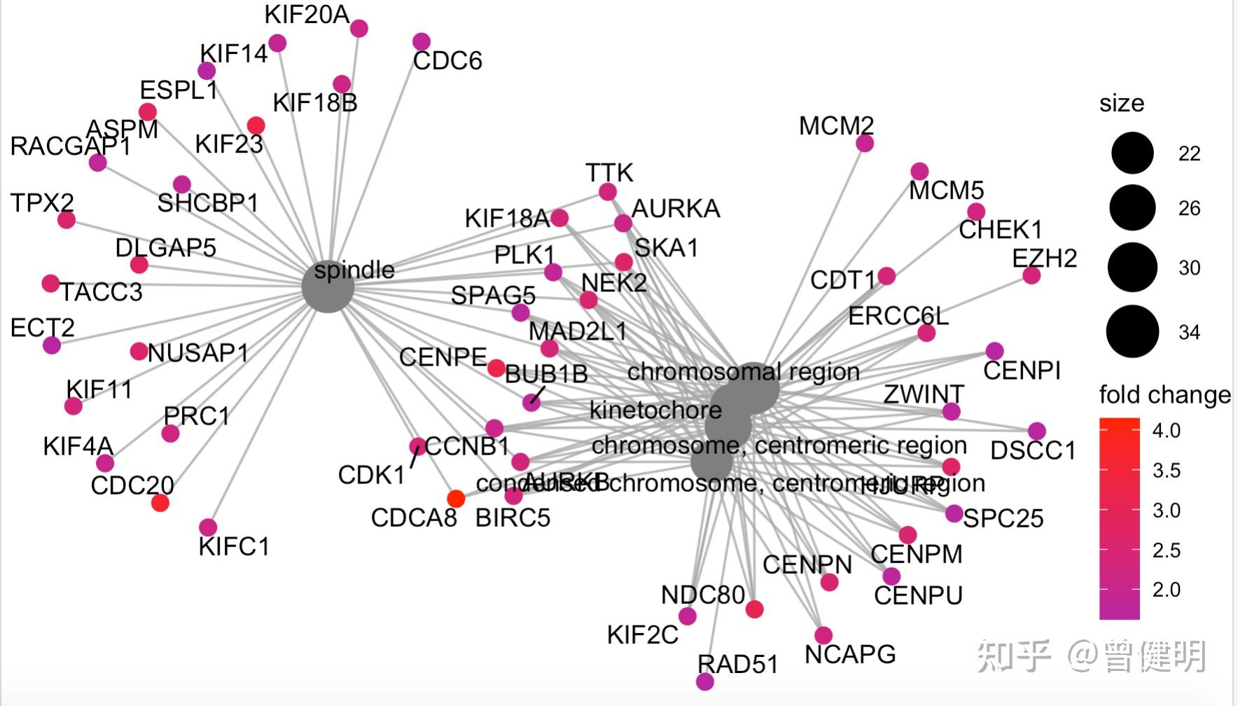 让你的基因有名字 - 知乎