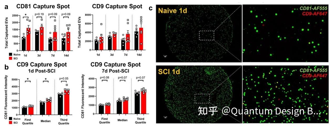 exosome外泌体粒径分析方法 | 三种技术比较 - 知乎