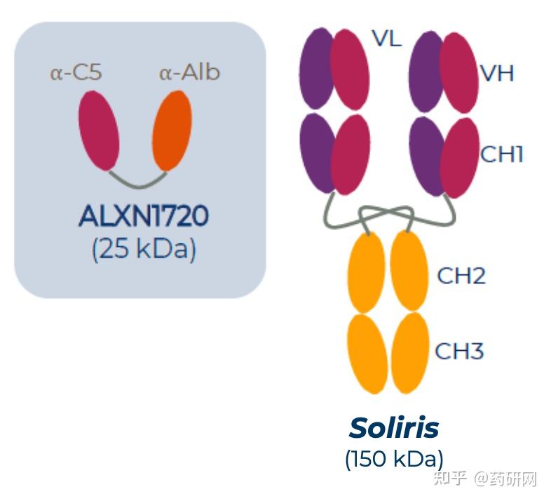 从阿斯利康子公司看全球C5靶点布局 - 知乎