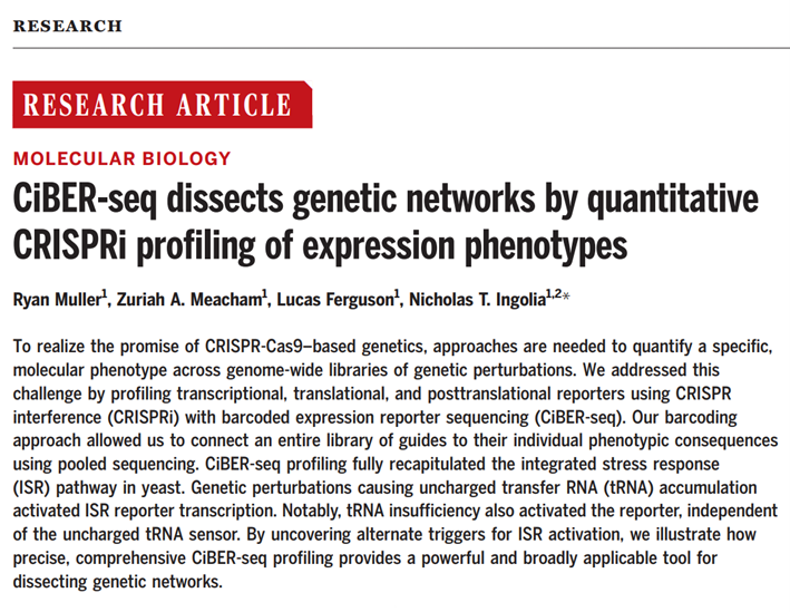 CiBER-seq，让基因调控网络研究更简单 - 知乎