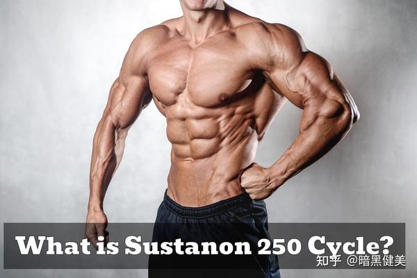 Sustanon是什么？如何使用它？ 关于Sust Cycle的所有资料 - 知乎