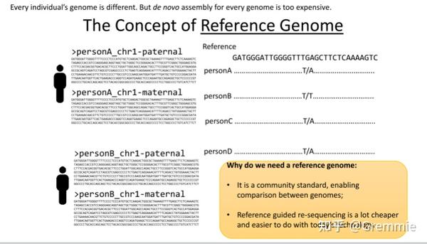 从头全基因组组装De novo whole genome assembly - 知乎