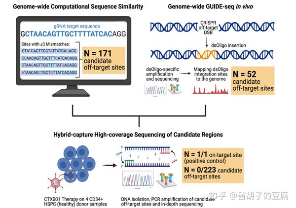 首款获批上市CRISPR基因编辑药物设计思路和难关攻克。 - 知乎
