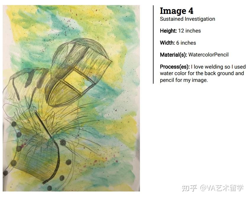 AP Art & Design 你了解多少？ - 知乎