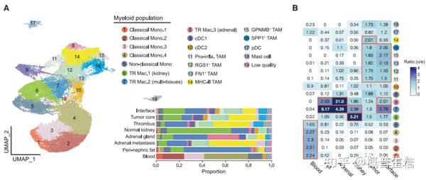 SCI 热门分享| 单细胞转录组联合空间转录组 - 知乎