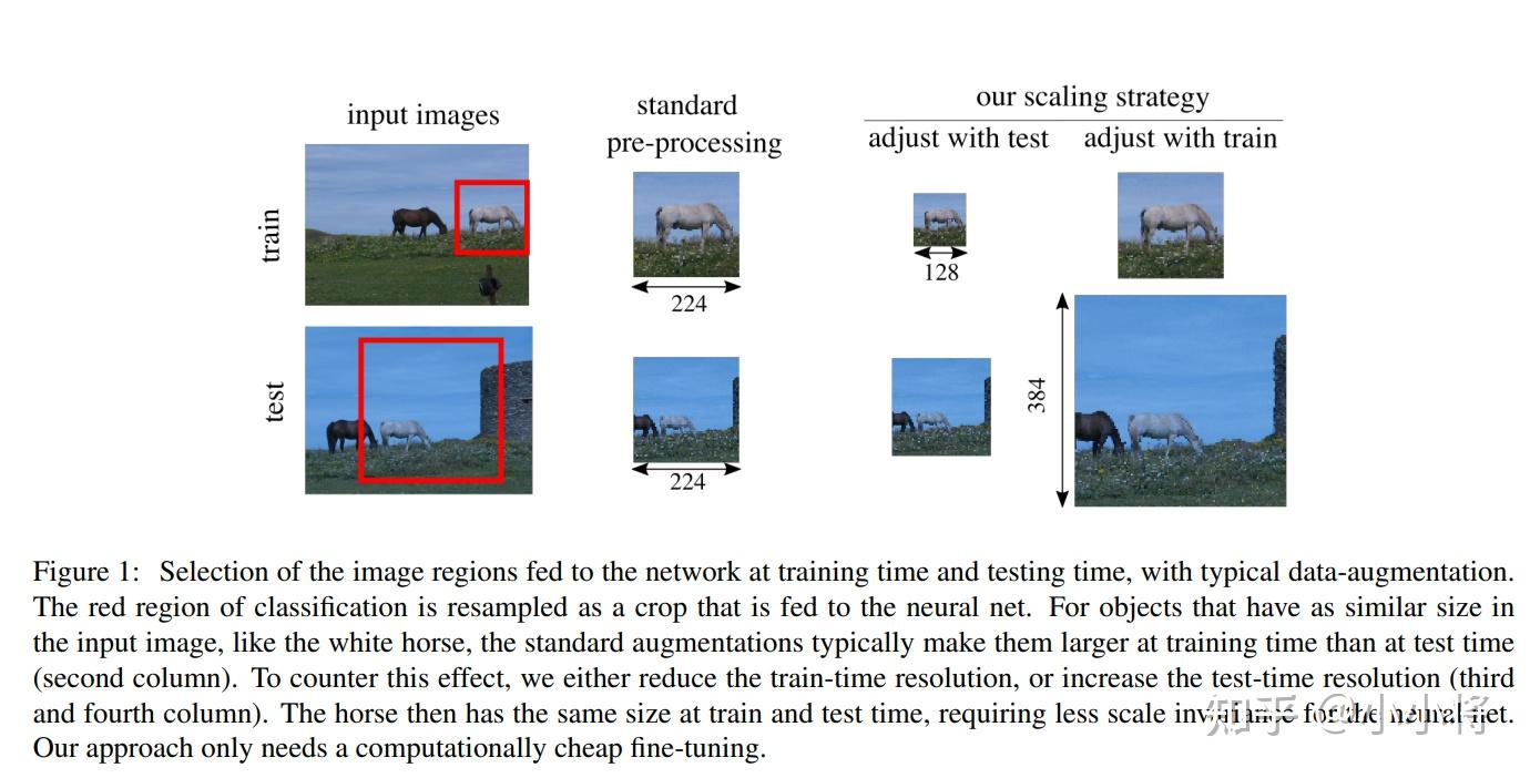 FixRes：两次超越ImageNet数据集上的SOTA - 知乎
