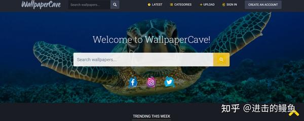 国外10个著名高清壁纸图片网站 - 知乎