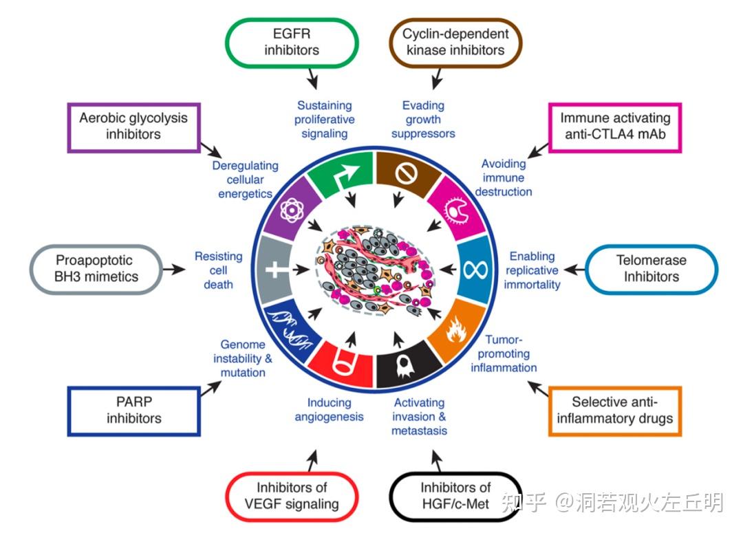Cancer Discovery发表顶级综述：Hallmarks of Cancer：New Dimensions - 知乎