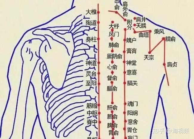 我们后背有一穴，活血化瘀，防大病，让全身气血都动起来！ 知乎