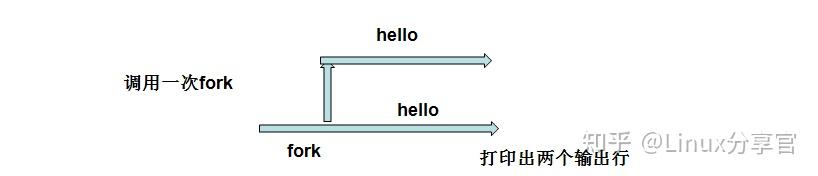 进程系统调用——fork函数深入理解(代码演示) - 知乎