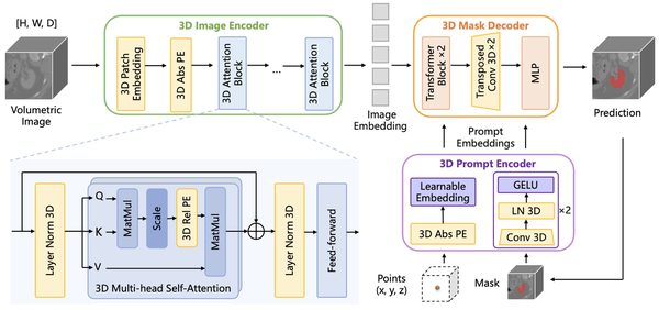 SAM-Med3D：三维医学图像上的通用分割模型，医疗版三维 SAM 开源了！ - 知乎