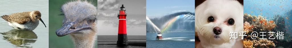 Next Visual Granularity Generation: 一种结构递进的图像生成方法 - 知乎