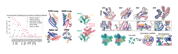 范式再颠覆 | RF Diffusion最强扩散式蛋白设计模型 - 知乎