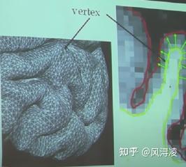 freesurfer下载安装，常用术语和recon-all命令 - 知乎