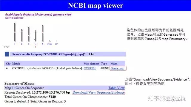 生信软件系列 - NCBI使用 - 知乎