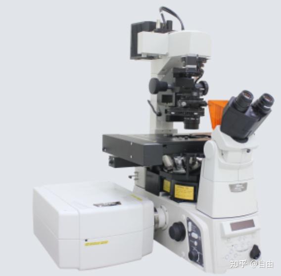 显微镜分类 - 知乎