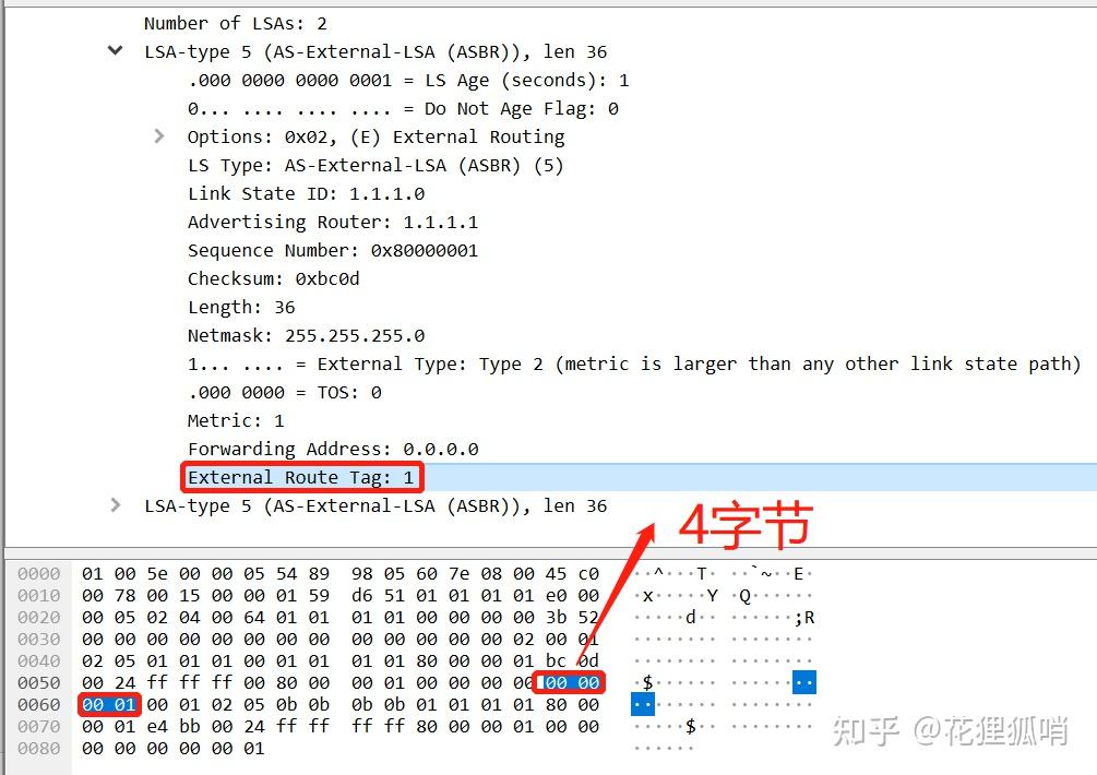 OSPF LSA报文格式总结 - 知乎