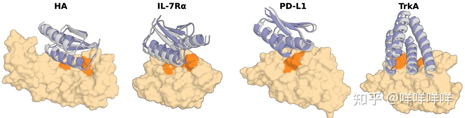 RFdiffusion (翻译） - 知乎