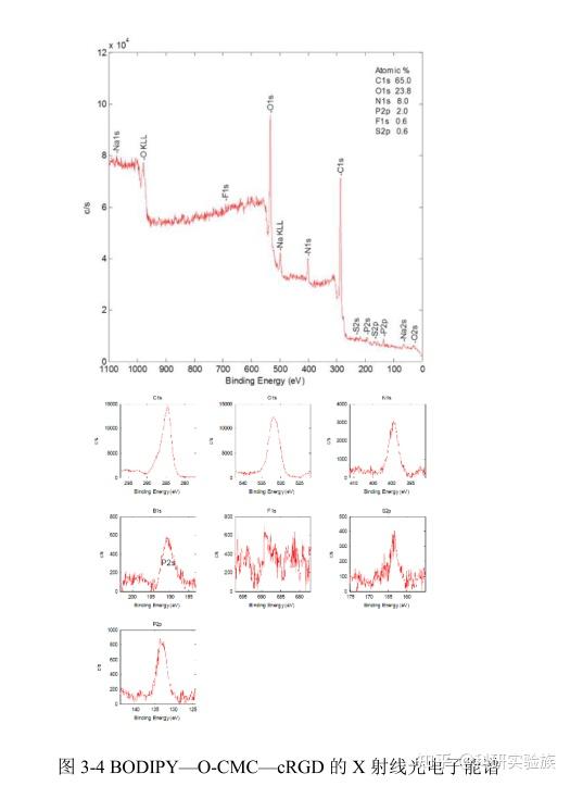 BODIPY-O-CMC-cRGD荧光探针自组装porphyrin/BODIPY2聚合物纳米粒子 - 知乎